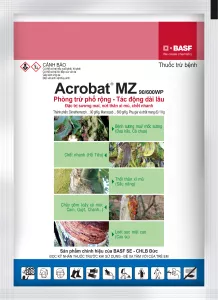 Acrobat MZ 600WP 100g - Ngọc Sơn Chemical